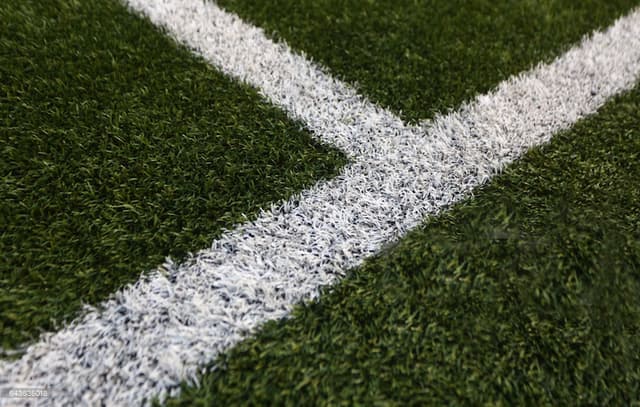 Integrity | Rugby Australia