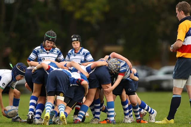 Referee | Rugby Australia