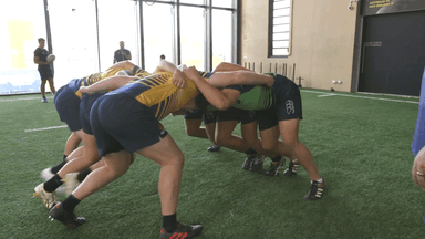 Scrum | Rugby Australia