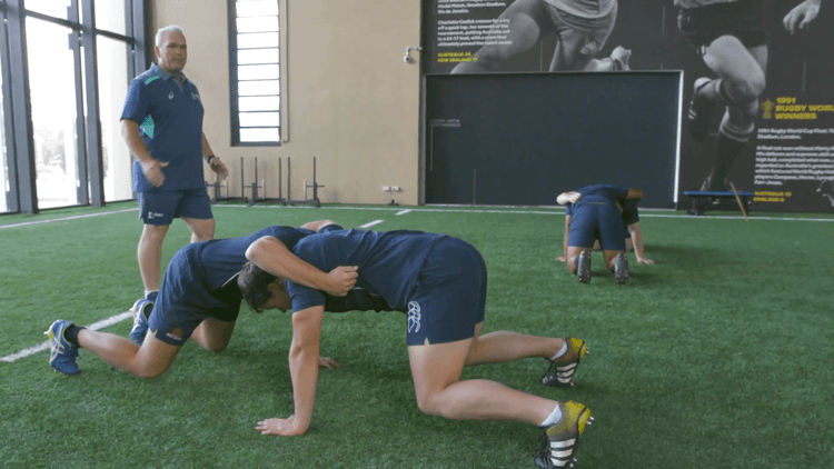 Set Piece | Rugby Australia